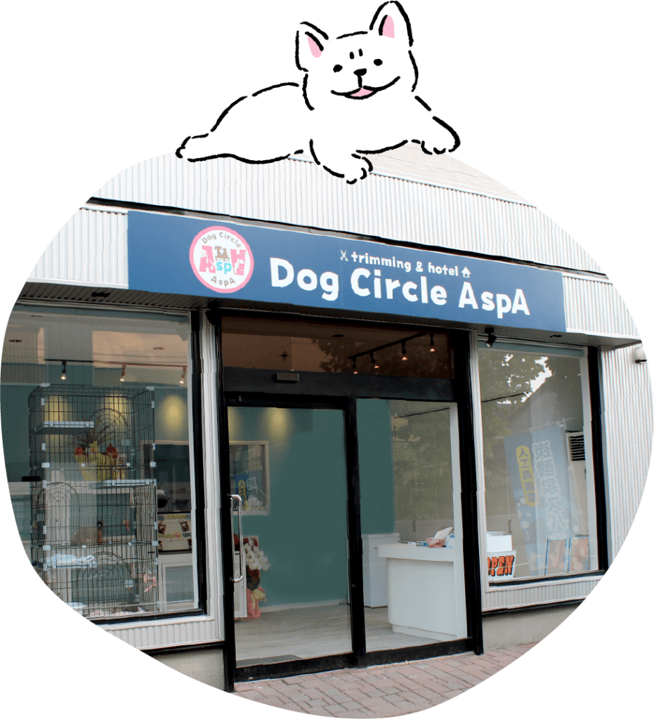 ホーム | 札幌市白石区ペットショップ | Dog Circle AspA （エースパ）